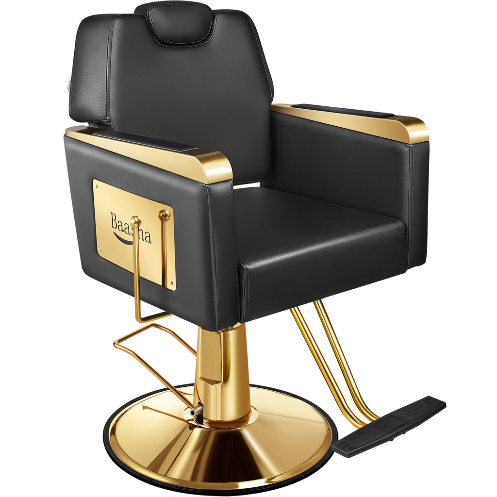 Gold Salon Chair BS-128 – BaashaBeauty